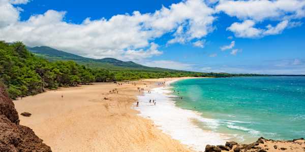 The Best of Everything In Maui