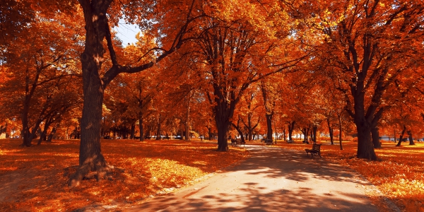 Best Travel Deals | Fall Vacation Getaways